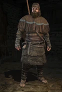 Battanian Clan Warrior | Mount & Blade Wiki | Fandom