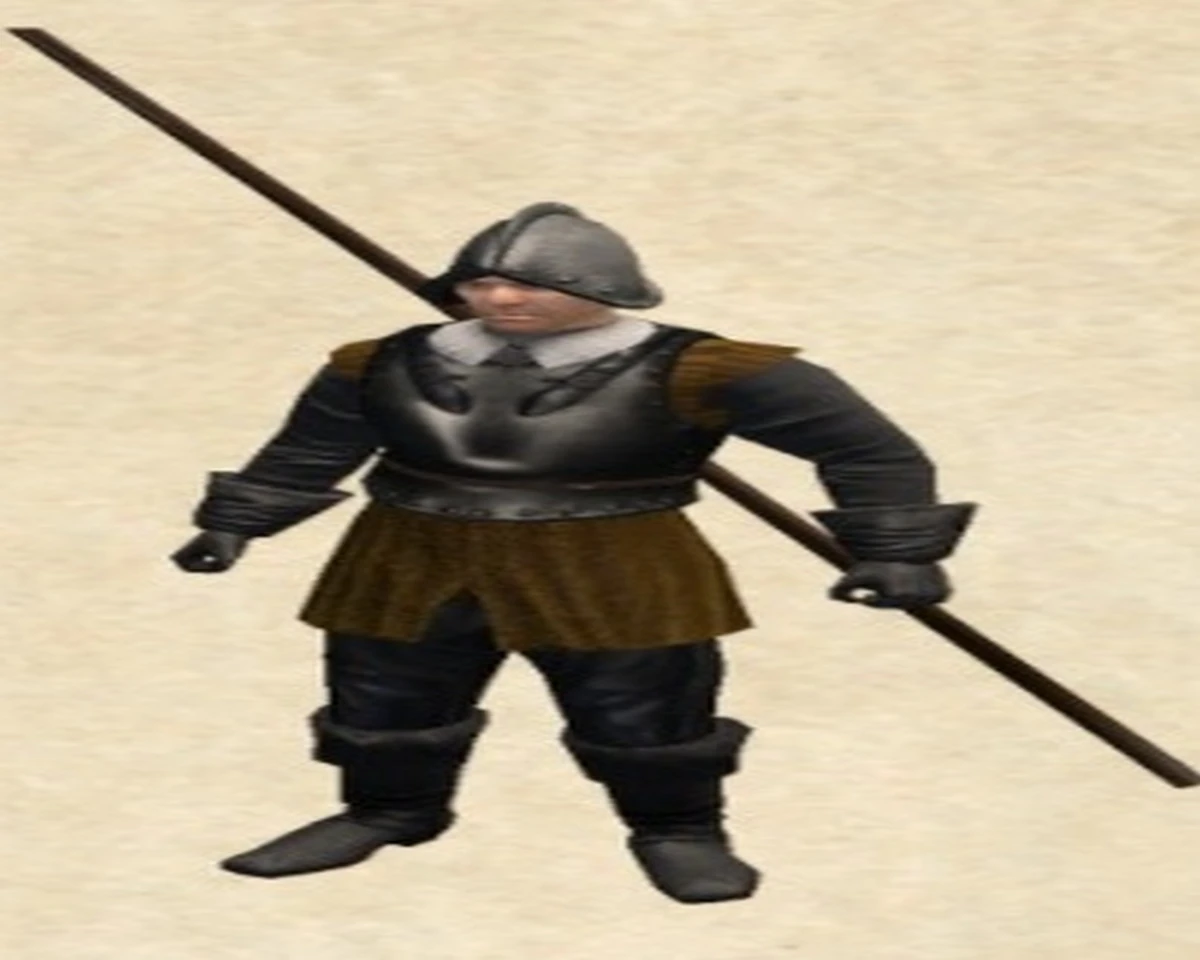 German Pikeman | Mount & Blade Wiki | Fandom