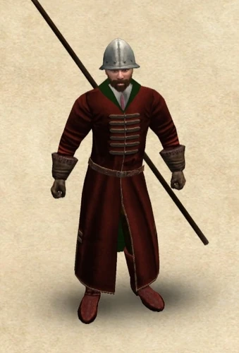 New Order Pikeman (veteran) | Mount & Blade Wiki | Fandom