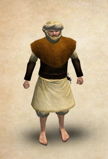 Desert Bandit | Mount & Blade Wiki | Fandom