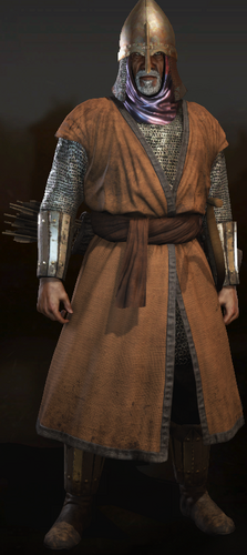 Veteran Multiplayer Mount And Blade Wiki Fandom
