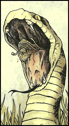Snake | Mouse Guard Wiki | Fandom