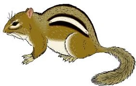 Valky | Mouseheart Wiki | Fandom