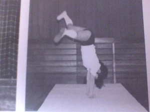 Cartwheel | Move Wiki | Fandom