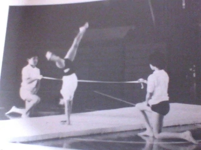 Cartwheel | Move Wiki | Fandom