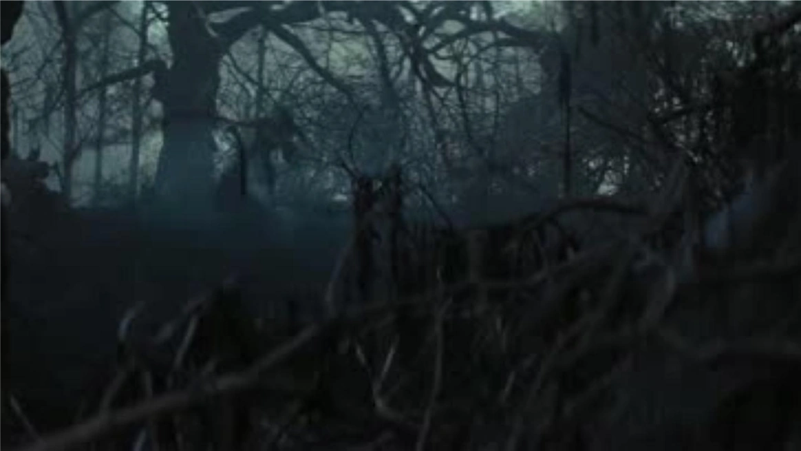 Dark Forest | Movie adventures Wikia | Fandom