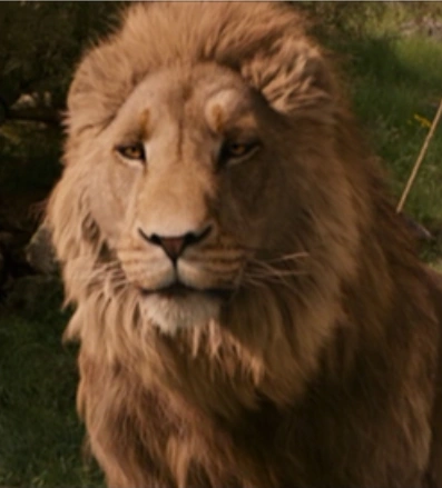 Aslan | Movie adventures Wikia | Fandom