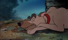 Chief | Movie Antagonists Wiki | Fandom