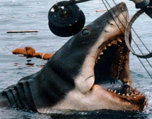 Bruce | Movie Monster Wiki | Fandom