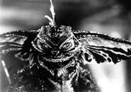 Stripe | Movie Monster Wiki | Fandom