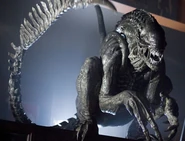 Xenomorph | Movie Monster Wiki | Fandom