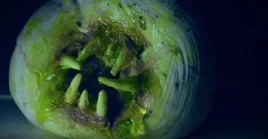 Killer Donuts | Movie Monster Wiki | Fandom