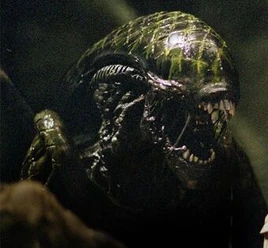 Xenomorph | Movie Monster Wiki | Fandom