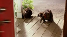 Zombeavers | Movie Monster Wiki | Fandom