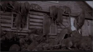 Altered Rats | Movie Monster Wiki | Fandom