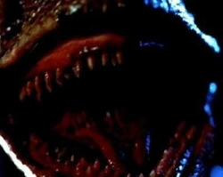 Aberration 1997