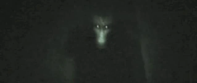 O Filme Do Tunel Monstro De 2011 Monster Unzensierte Fassung: