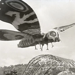 Mothra | Movie Monster Wiki | Fandom