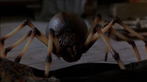 Itsy Bitsy Spider | Movie Monster Wiki | Fandom