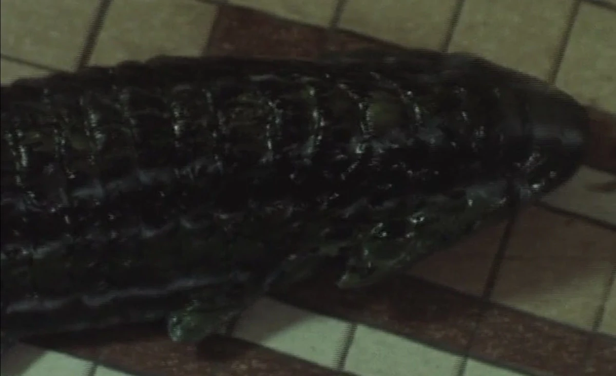 Mutant Leeches | Movie Monster Wiki | Fandom