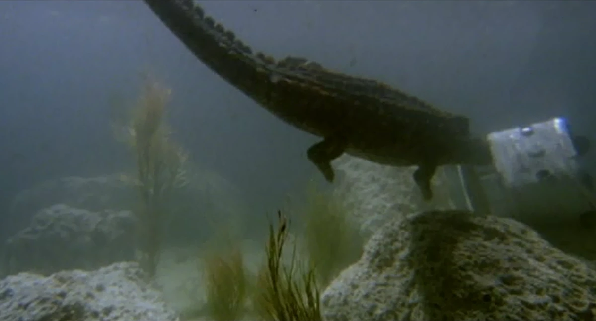 Kruna | Movie Monster Wiki | Fandom