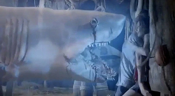 Ghost Shark | Movie Monster Wiki | Fandom