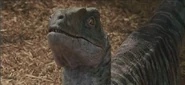Blue, Delta, Echo and Charlie | Movie Monster Wiki | Fandom