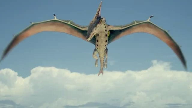 Pteracuda | Movie Monster Wiki | Fandom