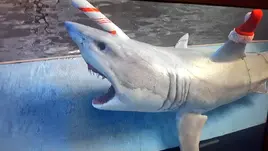 Santa Jaws | Movie Monster Wiki | Fandom