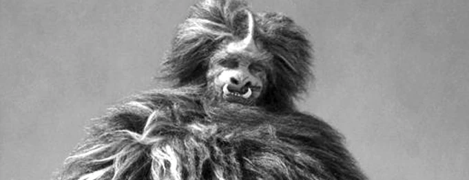 Space Yeti | Movie Monster Wiki | Fandom