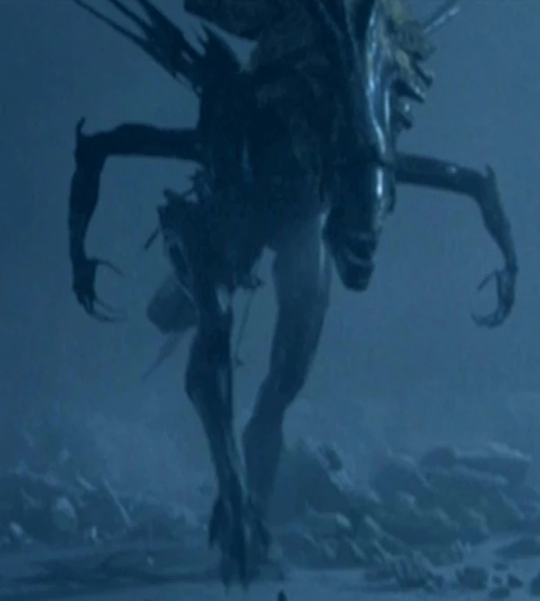Aliens 1986 Queen
