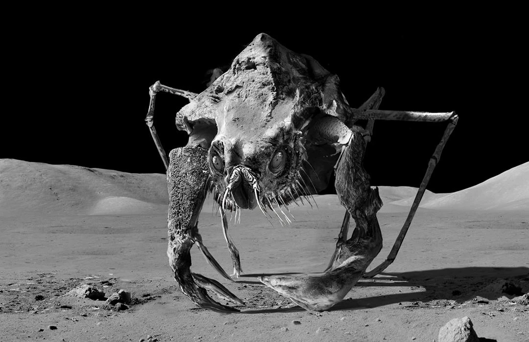 Moon Spiders | Movie Monster Wiki | Fandom