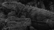 Giant Iguana | Movie Monster Wiki | Fandom