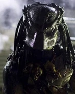 Yautja | Movie Monster Wiki | Fandom