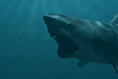 Primeval Future Shark