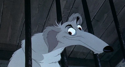 Boris (Dog) | Movie Spoof Films Wikia | Fandom