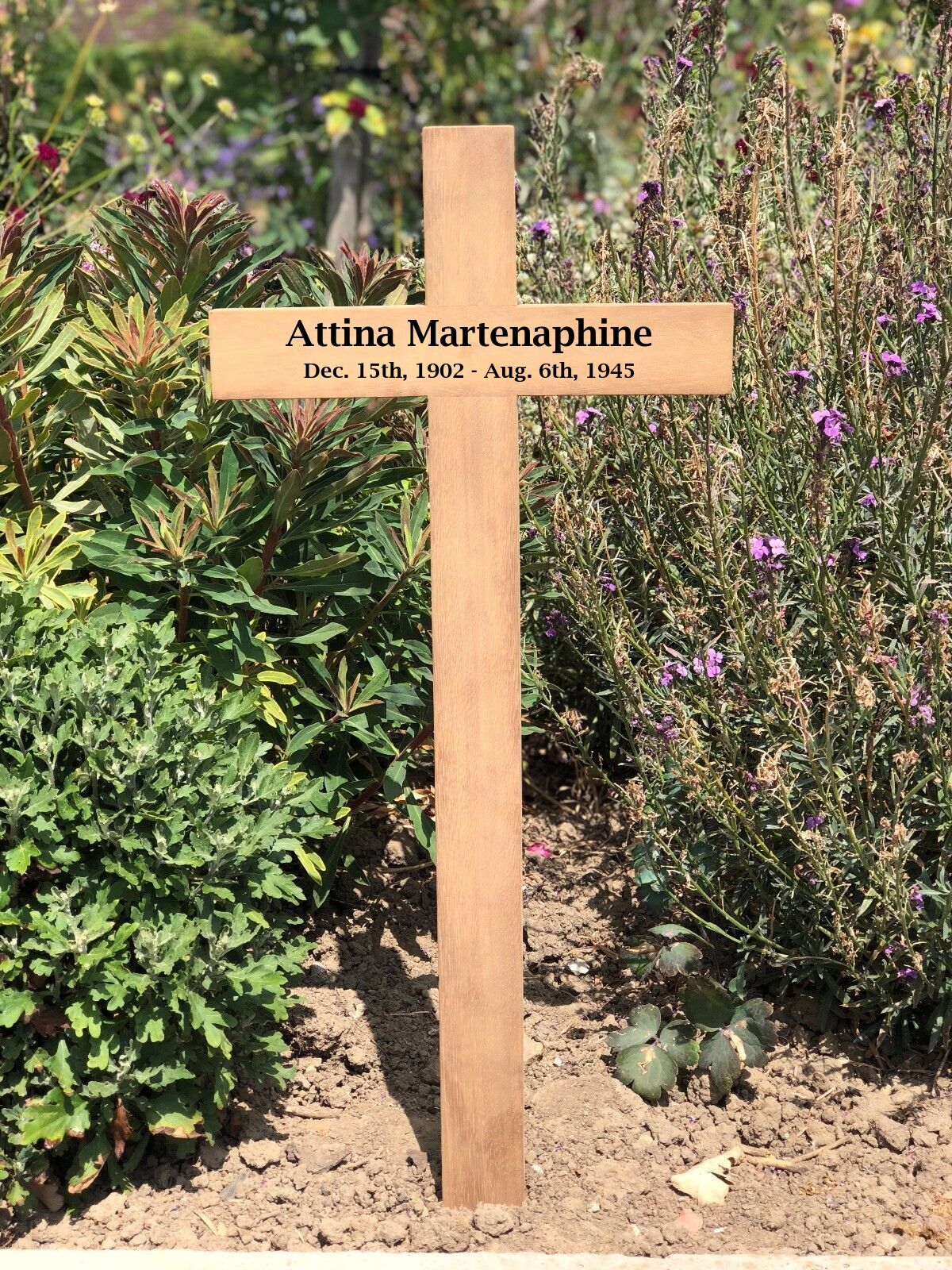 Attina Martenaphine Movie Spoof Films Wikia Fandom