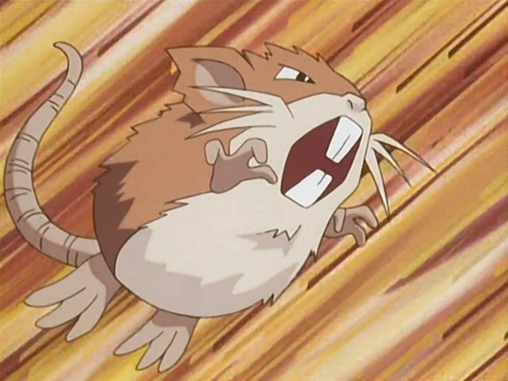 Raticate | Movie Spoof Films Wikia | Fandom