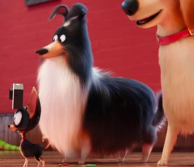 The Collie | Movie Spoof Films Wikia | Fandom