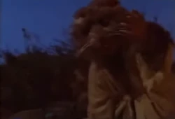 Splinter | Movie Spoof Films Wikia | Fandom