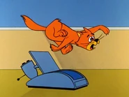 Jetsons' Cat | Movie Spoof Films Wikia | Fandom
