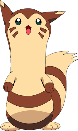 Furret Pokemon Wallpaper