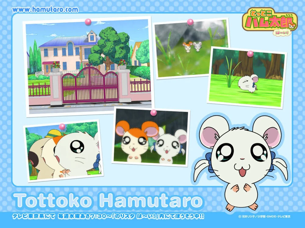 Hamtaro Characters Boss