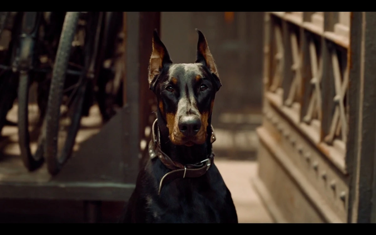 Maximilian | Movie Villains Wiki | Fandom