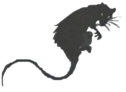 Rat (Lady and the Tramp) | Movie Villains Wiki | Fandom