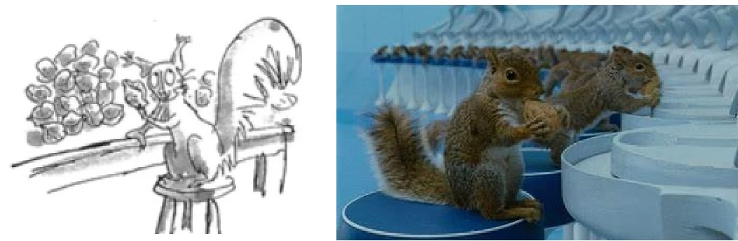 Squirrels | Movie Villains Wiki | Fandom