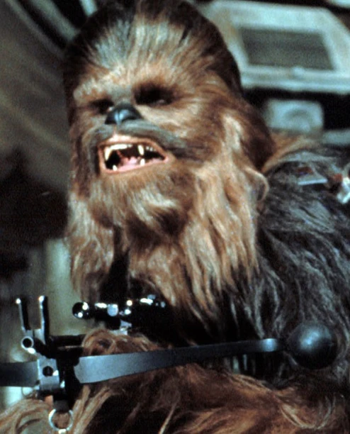Chewbacca | Movie Database Wiki | Fandom