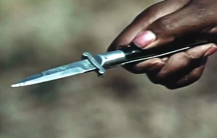 Switchblade | Movie Database Wiki | Fandom