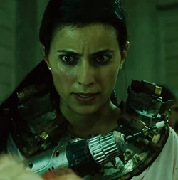 Lynn Denlon | Movie Database Wiki | Fandom