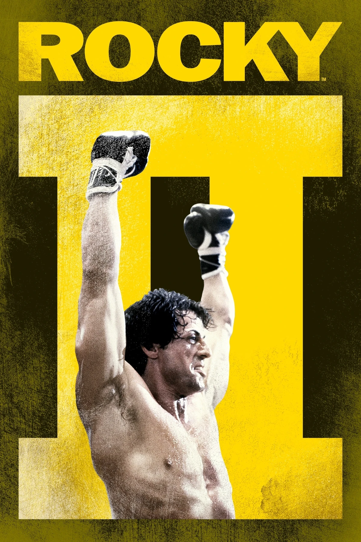 Rocky II | Movie Database Wiki | Fandom